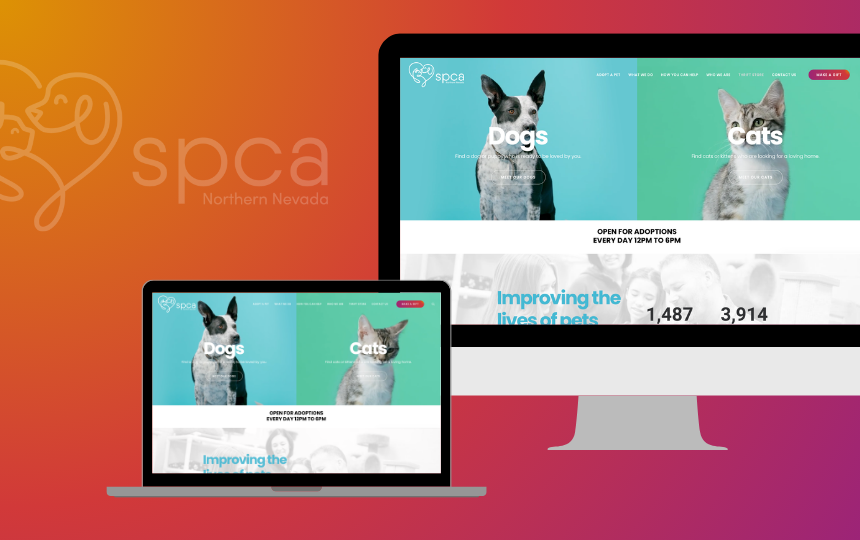 SPCA of Northern Nevada Case Study | Revision Road